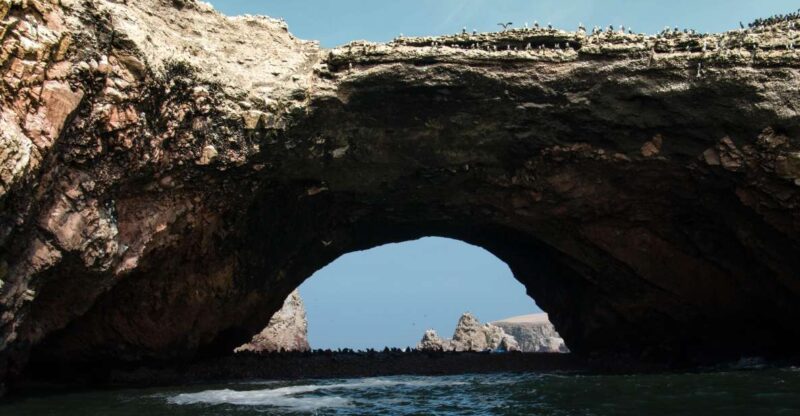 From Paracas: Ballestas Islands tour all Inclusive - Authenticity and Value