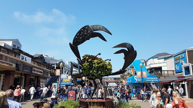 From San Francisco: Half-Day Wine Country Tour with Tastings - Price and Value