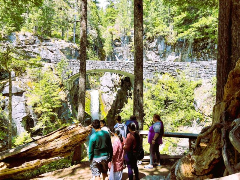 From Seattle: Customized Mount Rainier Tour - What Makes This Tour Stand Out?