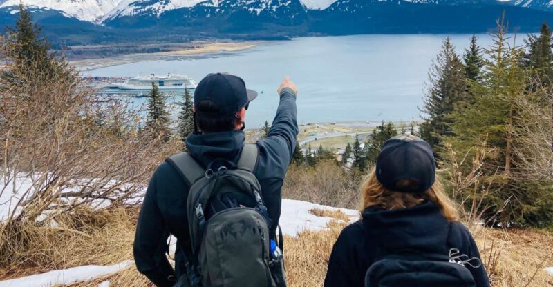 From Seward: 2-hour Wilderness Hiking Tour - The Scenic Highlights and Detours