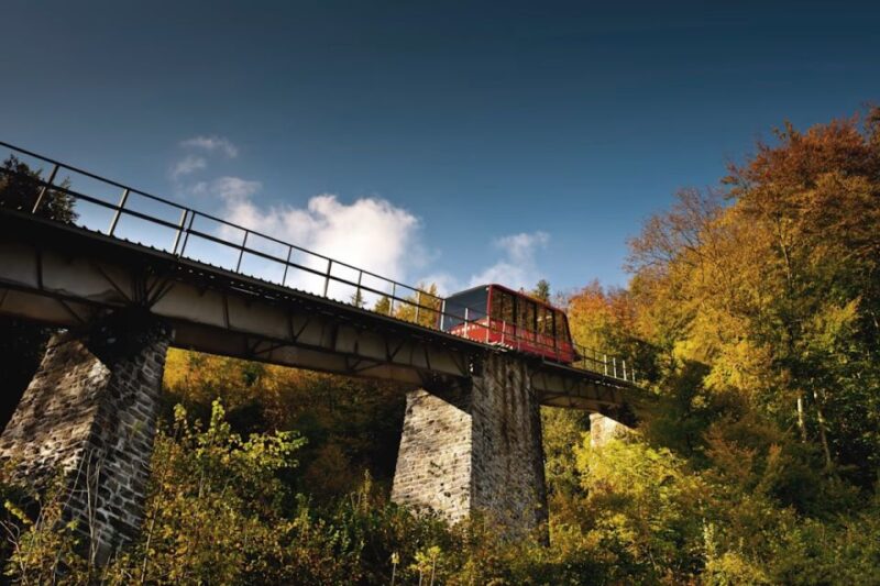 From Zurich: Interlaken Day Trip and Harder Kulm Viewpoint - Transportation and Logistics