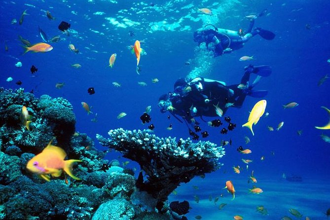 Full-Day Beginner Scuba Course with Private Tuition, Racha Yai - Analyzing the Value