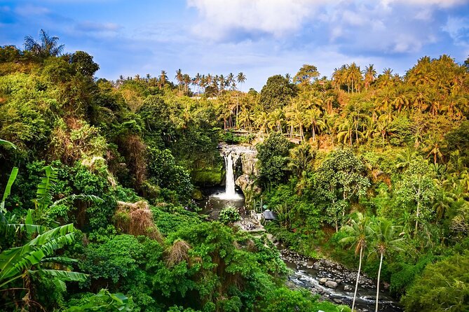 Full-Day Highlights and Best of Ubud Village - The Itinerary: What You’ll Experience