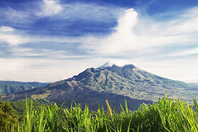 Full Day Private Guided Tour to Bali - FAQ