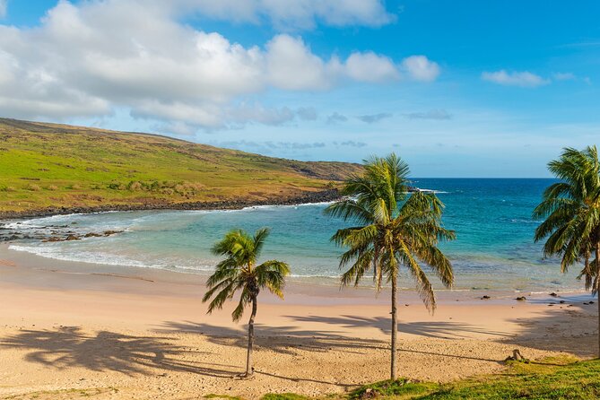 Full Day Private Tour: Factory of the Moai the Stone Giants - Meeting and Pickup