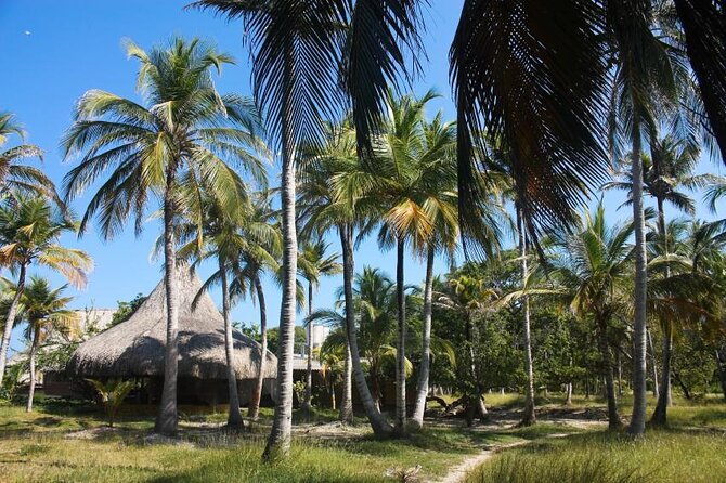Full Day Tour 5 Islands Vip - Inclusions