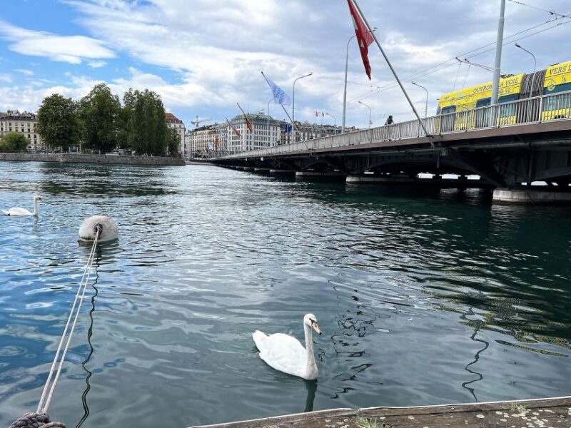 Geneva Complete Tour. Hotel PICK-UP, UN Area & the Old City - Pickup and Drop-off Options