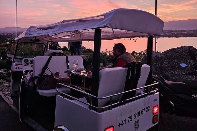 Geneva: Sightseeing of Top Places Tour Electric Tuktuk 1H15 Tour - Transportation and Accessibility