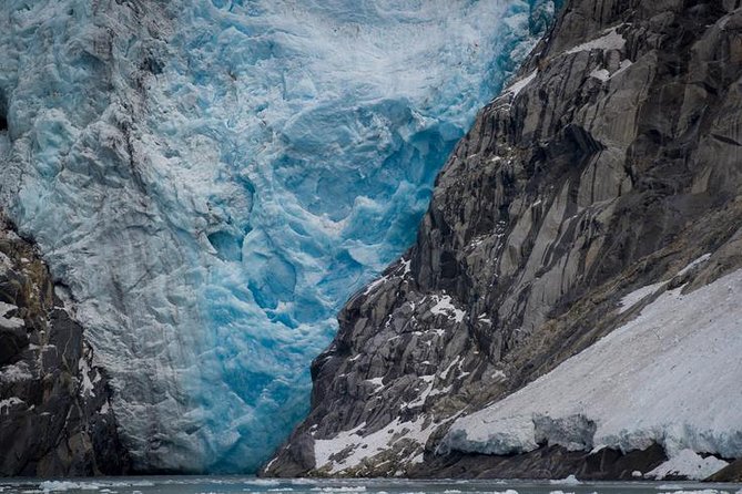 Glacier & Wildlife Discovery Tour - Wildlife and Scenic Stops