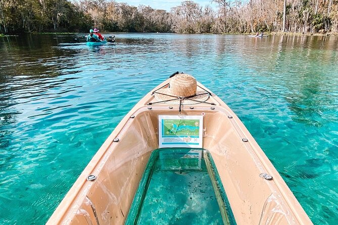 Glass Bottom Kayak - Silver Springs & Wildlife Tour - Wildlife and Nature Highlights