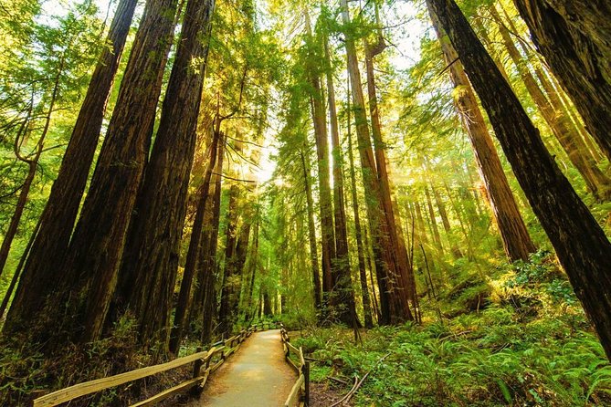 Golden Gate Bridge Muir Woods Sausalito with Optional Alcatraz - The Practicalities and Value