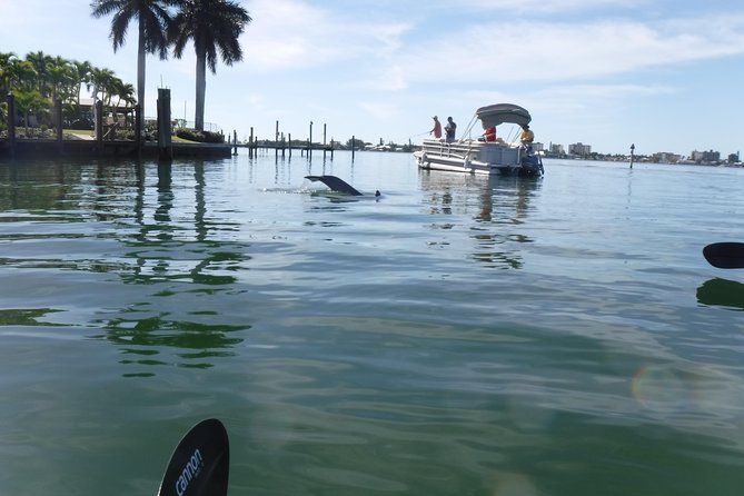 Guided Kayak Eco Tour - Bunche Beach - Who Should Consider This Tour?
