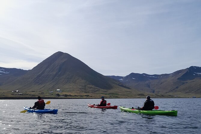 Guided Kayak Tour in Siglufjörður / Siglufjordur. - What to Expect During the Kayak Adventure