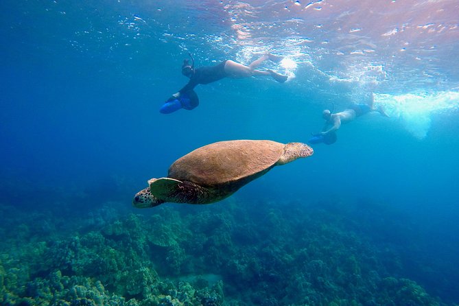 Guided Sea Scooter Snorkeling Tour Wailea Beach - The Sum Up: Who Will Love This Tour?