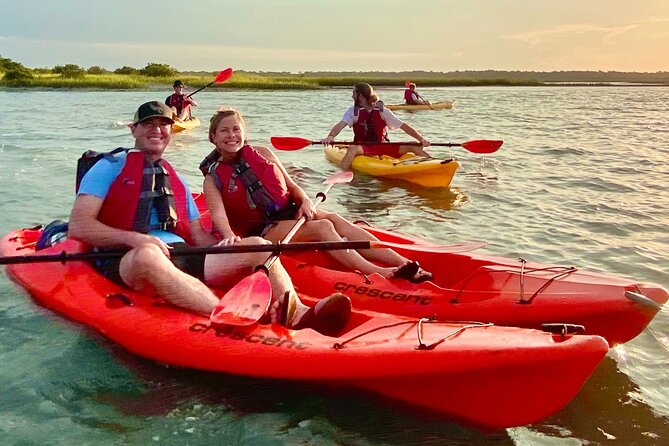 Guided Tour for Dolphin & Sea Turtle Observation in Saint Augustine, Florida - Wildlife You Can Expect to See