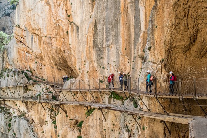 Guided Tour to Caminito del Rey from Malaga - What Travelers Say: Authentic Perspectives