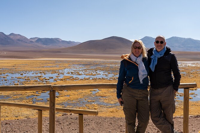 Guided Tour to the Tatio Geyser Breakfast at Geyser Blanco - Meal Options
