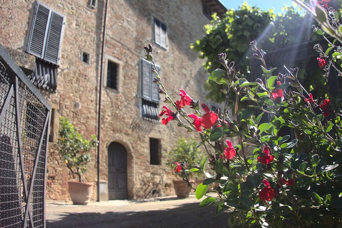 Guided Tour With Wine Tasting and Local Organic Products - Meeting and Pickup