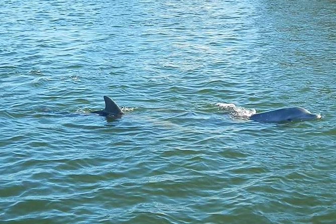 Guided Two Hour Boat Tour of the Indian River Lagoon - Accessibility and Participation