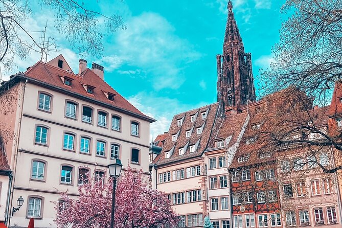 Guided Walking Tour in Strasbourg Review - Accessibility and Additional Information