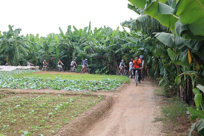 Half-Day Bicycle Tour Combine City & Countryside + Train Street - Who Will Love This Tour?