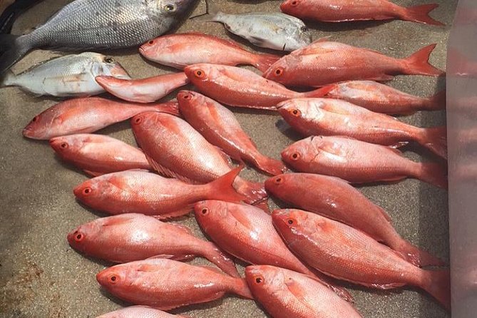 Half-Day Fishing Trip in Fort Lauderdale - Target Species and Fishing Techniques