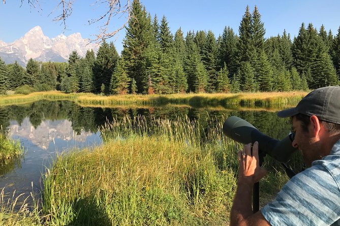 Half Day Group Sunset Wildlife Safari - Wildlife Encounters in Greater Yellowstone