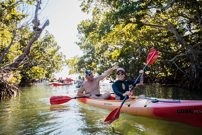 Half-Day Morning Trip from Key West with Kayaking and Snorkeling - What Sets This Tour Apart