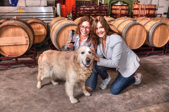 Half Day Rioja Wine Tour - Cultural Insights