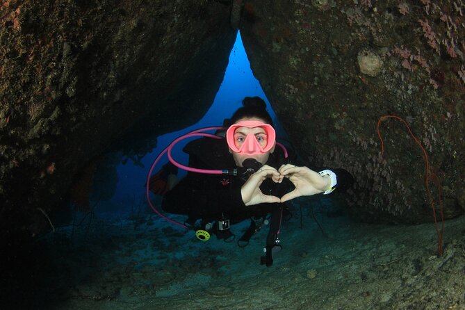 Half-Day Small-Group 2-Tank Scuba Dive in Key Largo (CERTIFIED DIVERS ONLY) - Dive Experience