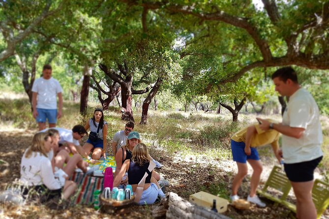 Half-Day Small-Group E-Bike Tour of Rural Algarve With Lunch - Highlights of the Experience