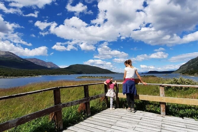 Half-Day Tierra Del Fuego National Park With Train - Tour Experience