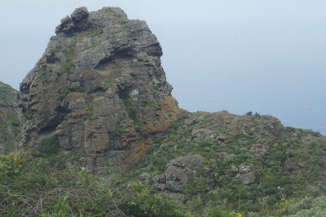 Half Day Tour Discovering Anaga Tenerife - Booking Information and Pickup Details