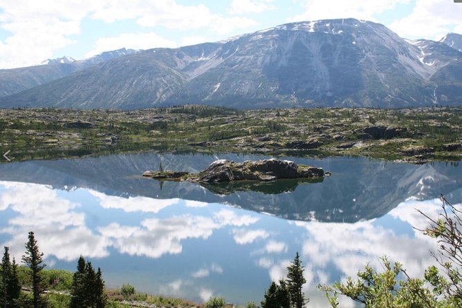 Half Day Yukon Suspension Bridge & Summit Tour - Meeting and Pickup Information