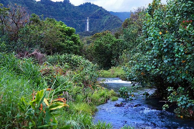 Hana Rainforest Helicopter Flight with Landing from Maui - Landing in Wailua Valley: A Quiet Oasis