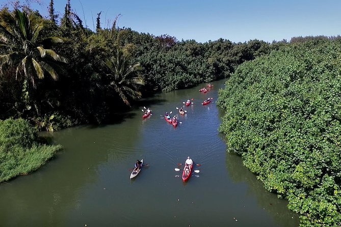 Hanalei Bay Morning Kayak and Snorkel Tour - Final Thoughts