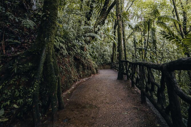 Hanging Bridges Walk in Arenal Volcano - Location and Transportation