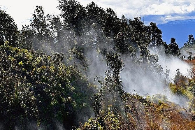 Hawaii Volcanoes National Park Experience Departing From Oahu - Inclusions, Transportation, and Logistics