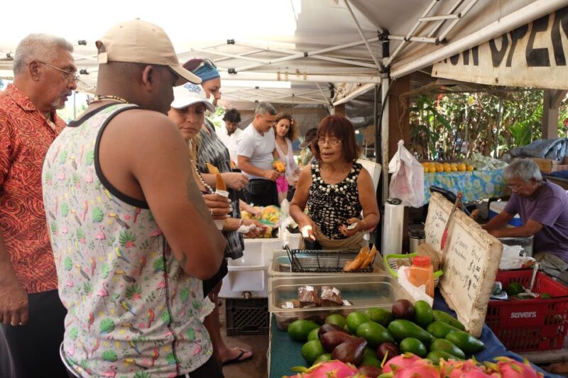 Hidden Gems of Oahu Circle Island Tour with Byodo-In Temple - Who Is This Tour Best For?