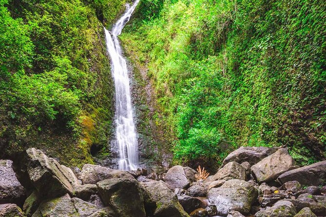 Hike Trail to Waterfall & Nature Walk - Authentic Experiences and Genuine Value