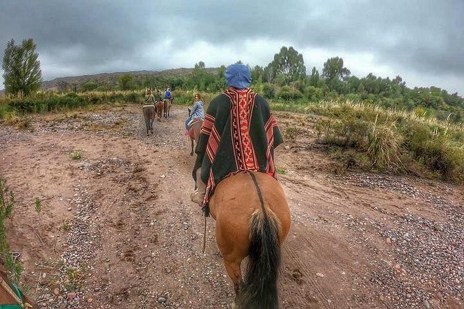 Horseback Ride Through Vineyards Followed by Gourmet Lunch/Dinner - Knowledgeable Guides