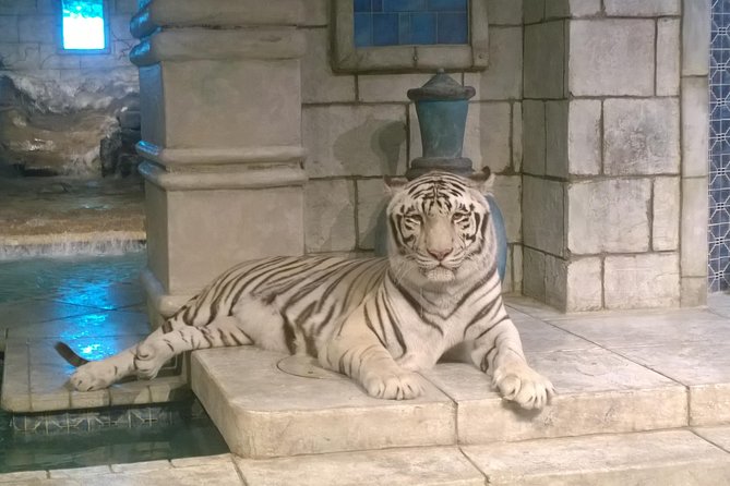 Houston City Tour and Downtown Aquarium All Rides Pass - Who Should Consider This Tour?