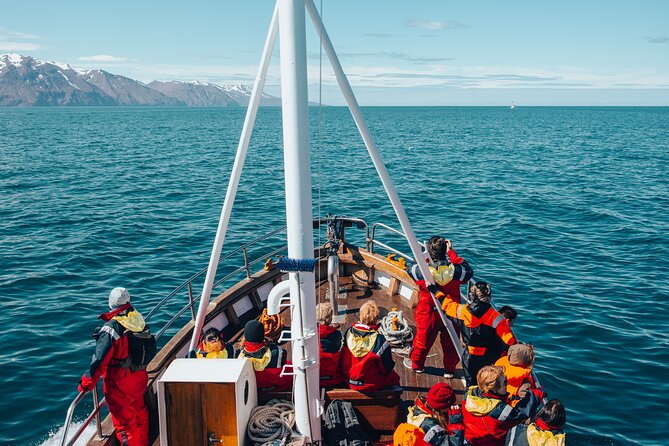Húsavík Whale Watching Tour, family owned and operated - Value for Money