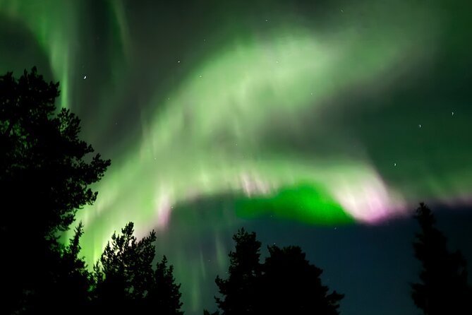Husky Sled Ride Northern Lights Tour From Kiruna - Inclusions