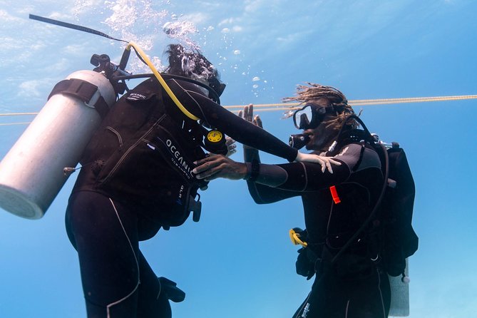 Incredibly Fun 2-Tank Coral Reef South Shore Boat Dive in Oahu from Waikiki - Final Thoughts