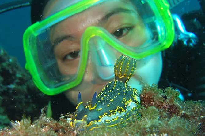Intro Dive in Dubrovnik - Whats Included