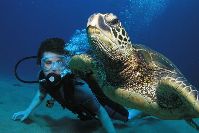 Intro/Refresher Dive Swim Ability Required - What You Can Expect from the Tour