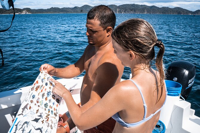 Isla Tortuga Boat Tour - From Paquera - Inclusions and Logistics