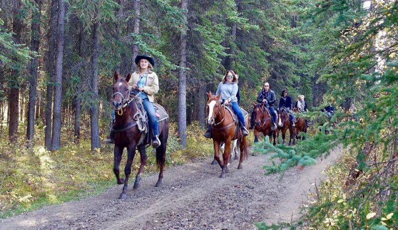 Jackson Hole: Bridger-Teton National Forest Horseback Ride - What the Ride Looks Like