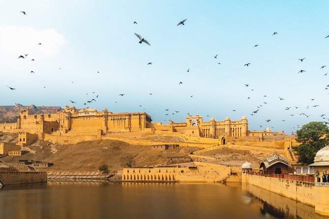 Jaipur Pink City Private Day Trip from Delhi with transfer - Practical Details and Considerations